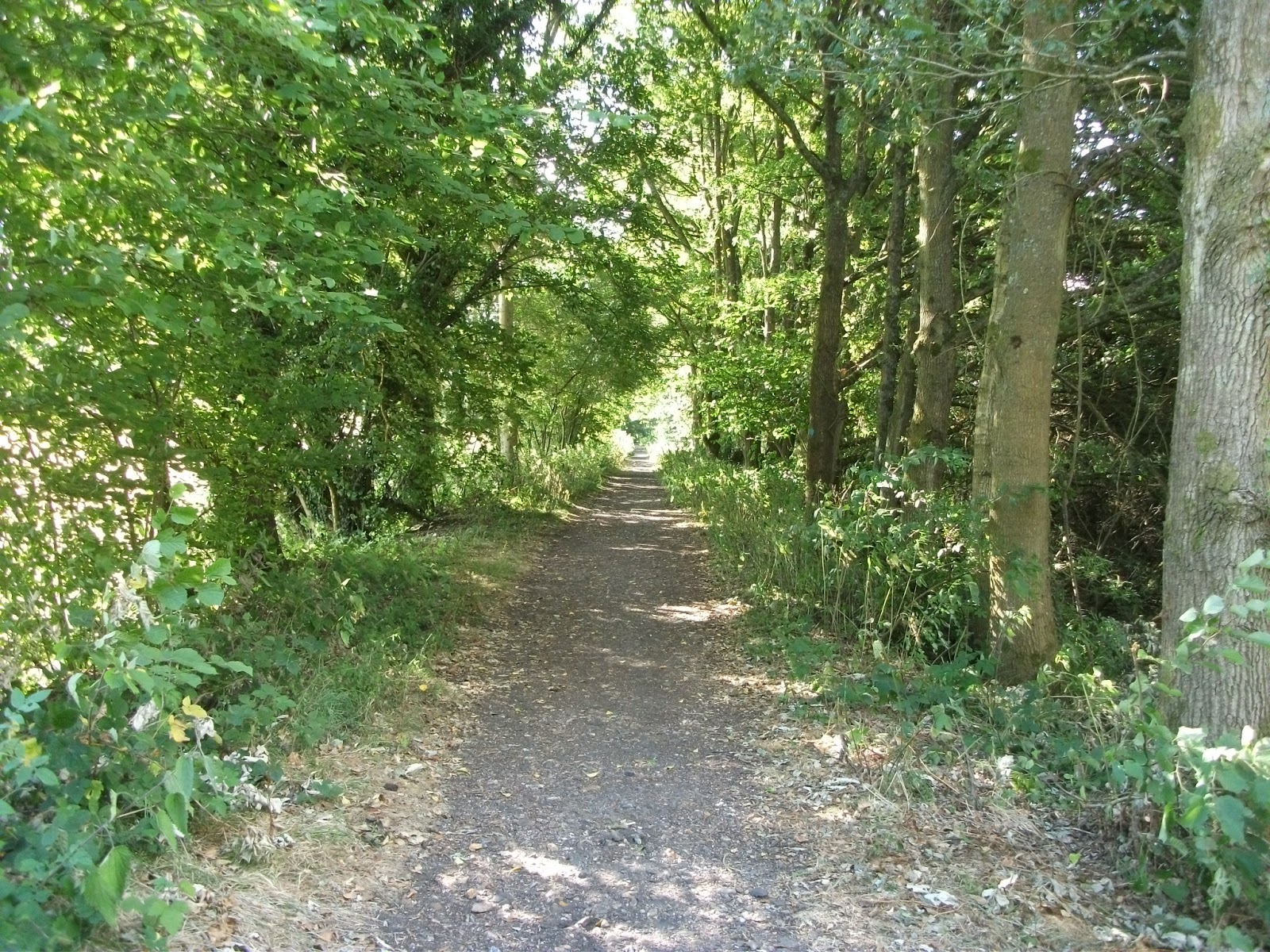 Paul Jonsson (Walking from Woking): Downs Link Walk July 2018 - Woking ...