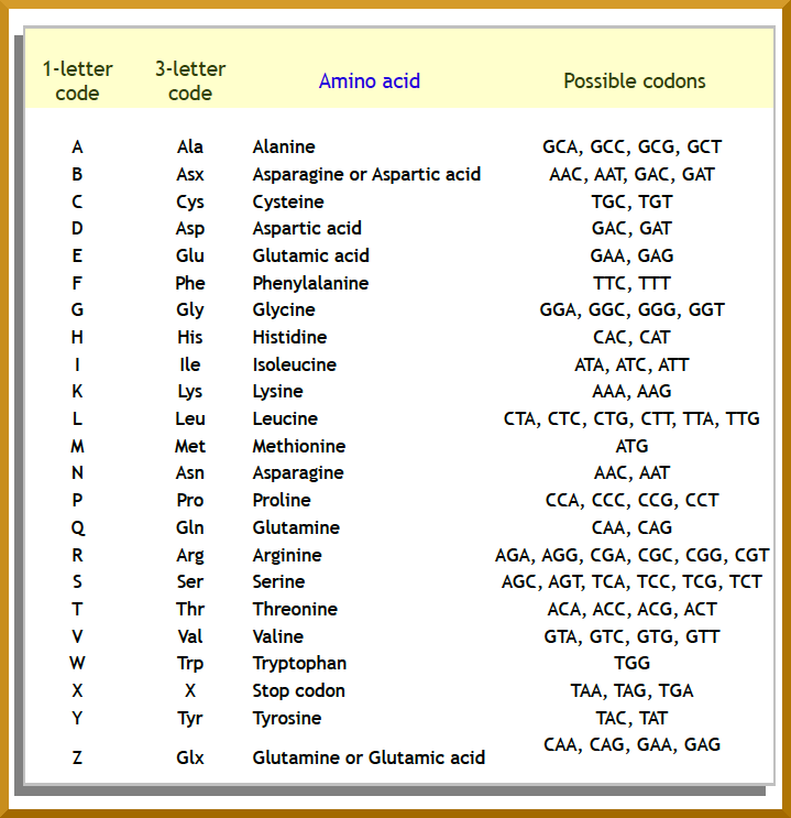 Amino Acid One Letter Code ~ Thankyou Letter