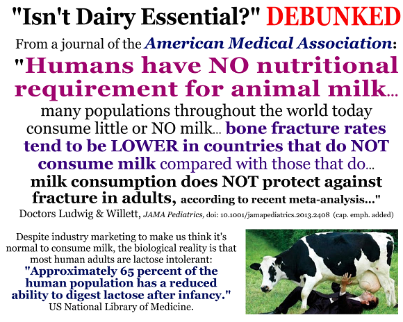 SeniorsAloud: SHOULD WE SAY NO TO MILK AND DAIRY PRODUCTS?