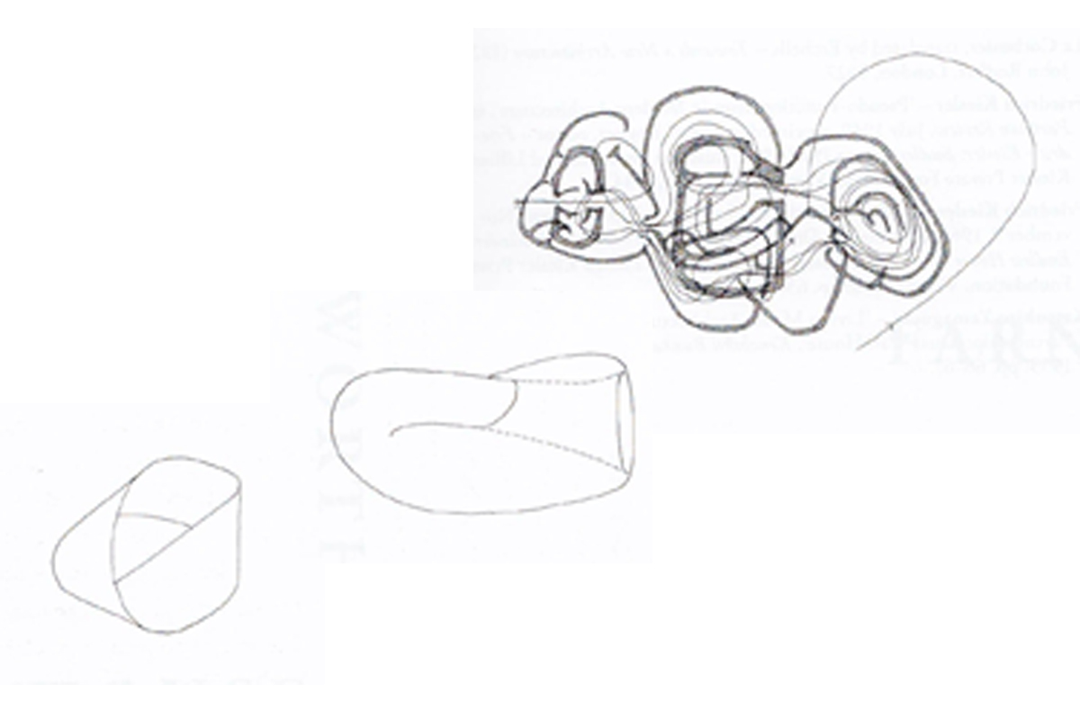 Future House(s):Genealogy: Endless House