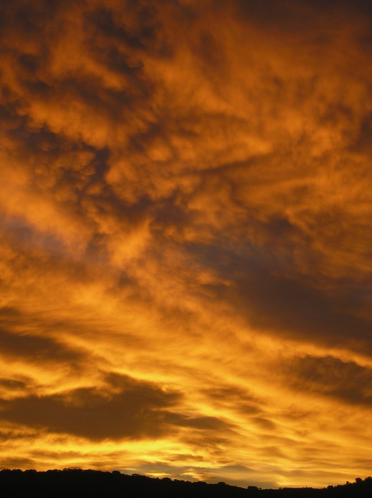 Estrellas de Sierra Nevada: Los arreboles