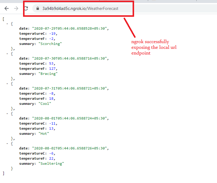 Over The Internet Share Locally Hosted .Net Core Application URL Using ...