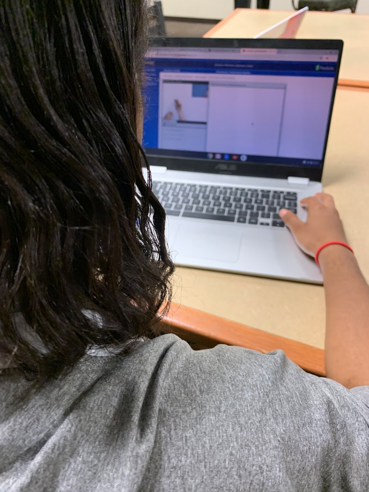 A Stable Beginning: Online Math with Thinkwell Homeschool ~ a TOS review