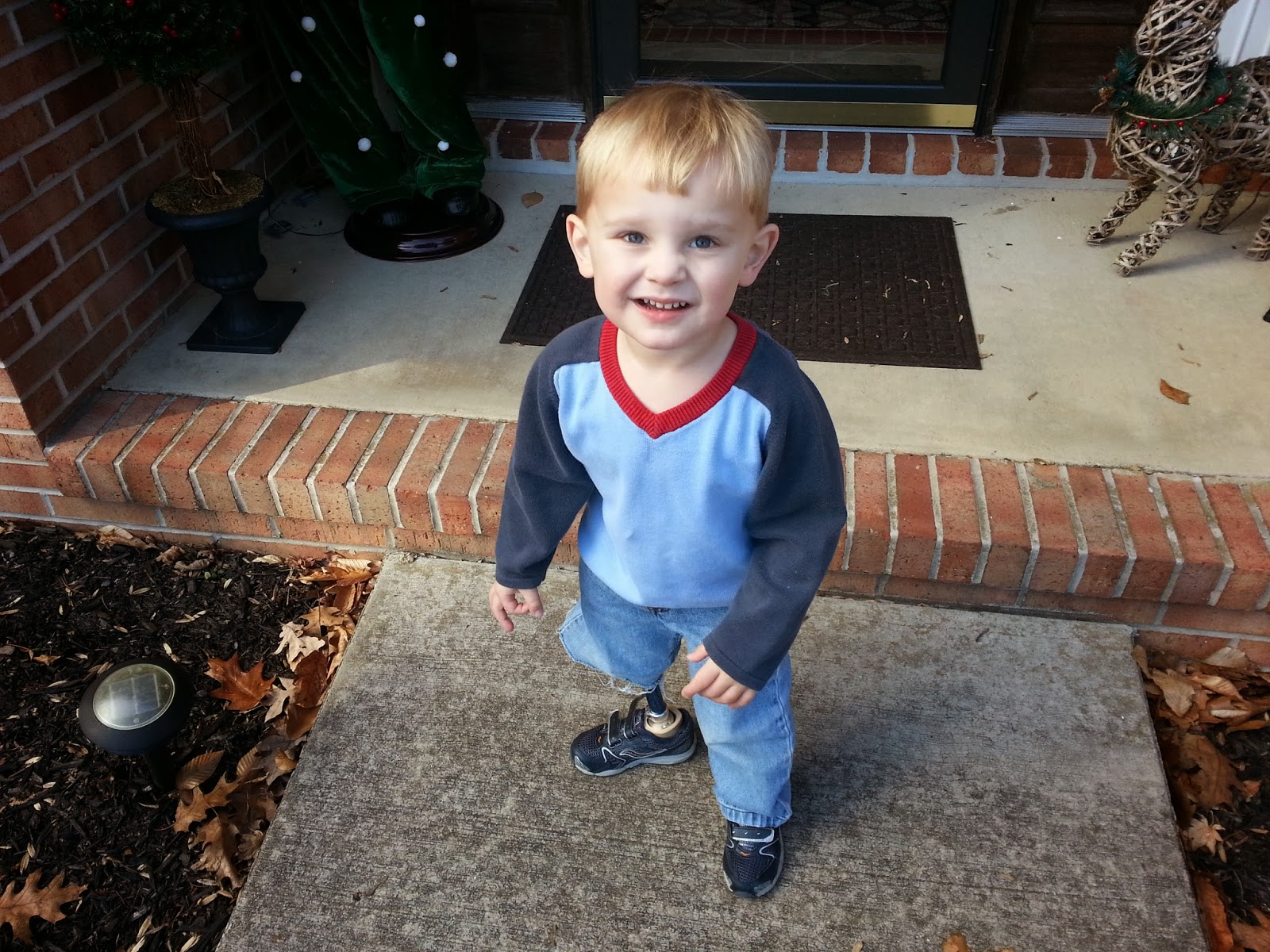 Matthew's PFFD Patrol