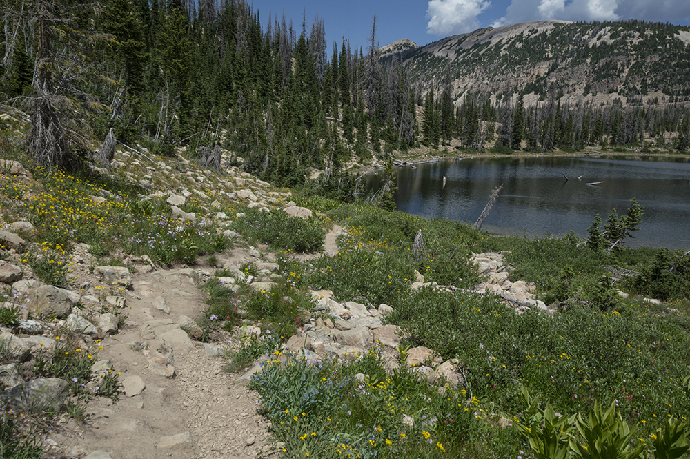 Trails Trekker: Three Divide Lakes Loop/Clyde Lake Loop