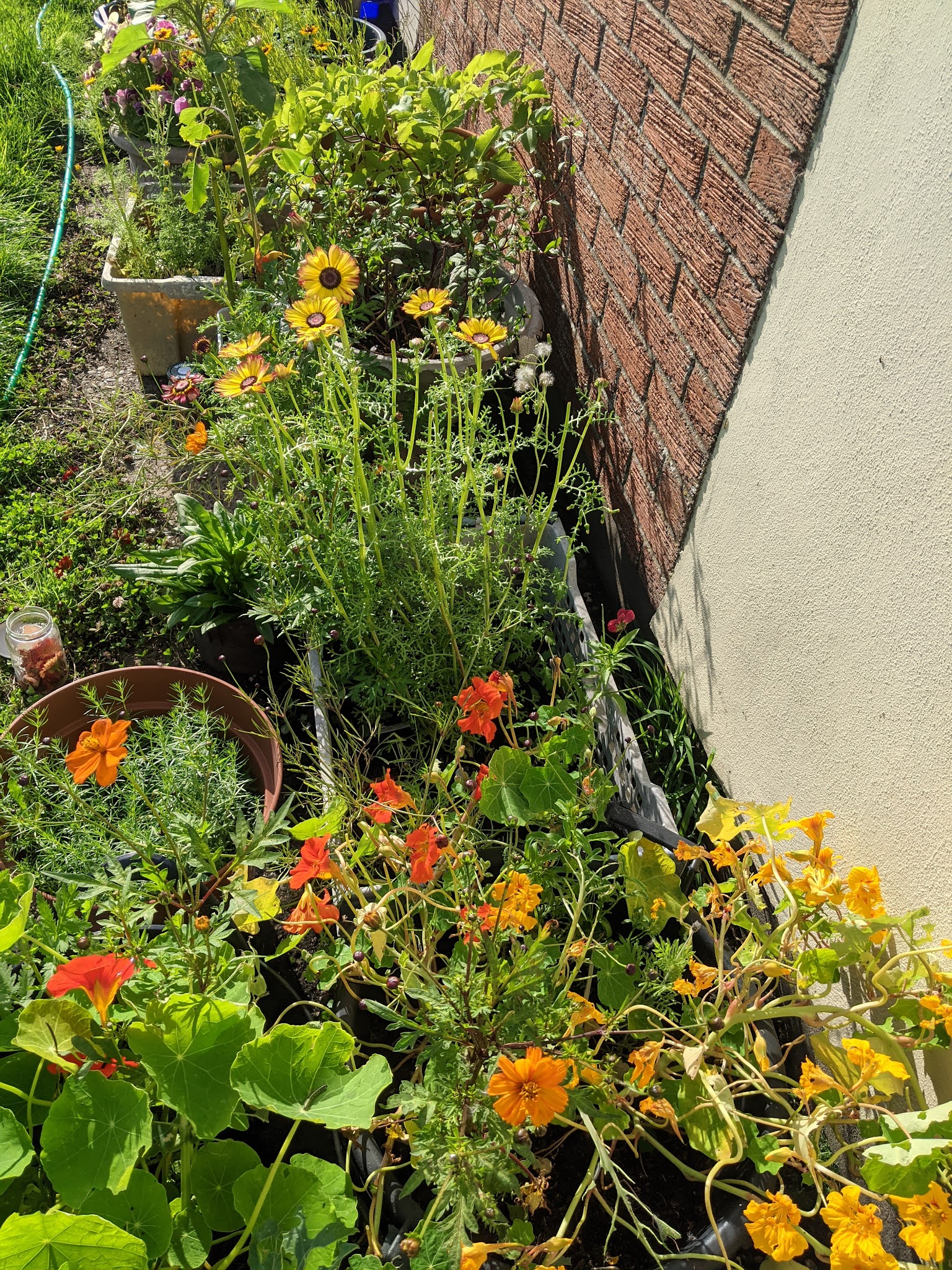 Pat Kelly - Textile Artist