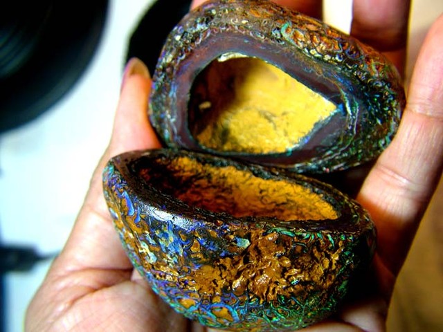 24 Rarest of Rare Awesome Things Found on Earth Ever - STATIONGOSSIP