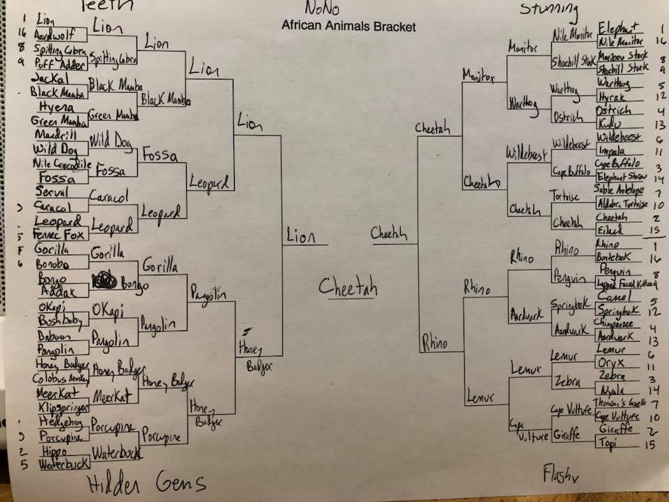 Junior's Brackets: African Animals Bracket