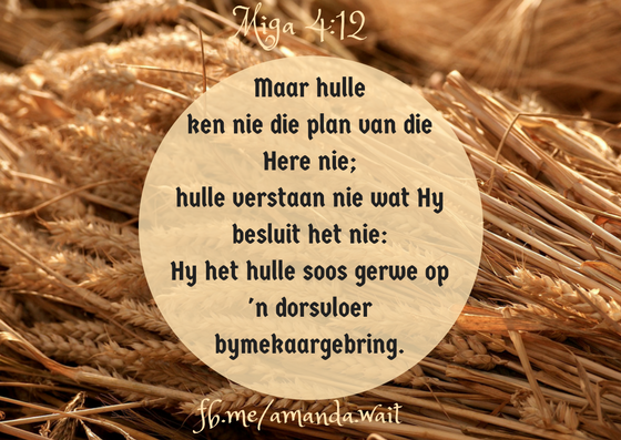 Jesus is my Rots: Vertrou nie op mense nie