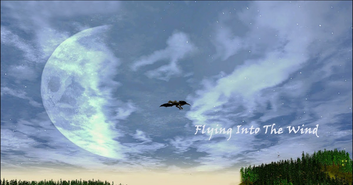 Flying Into The Wind: First: The Flight Back