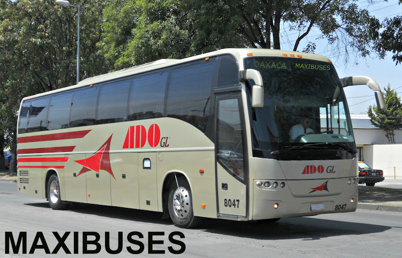 MAXIBUSES: ADO GL