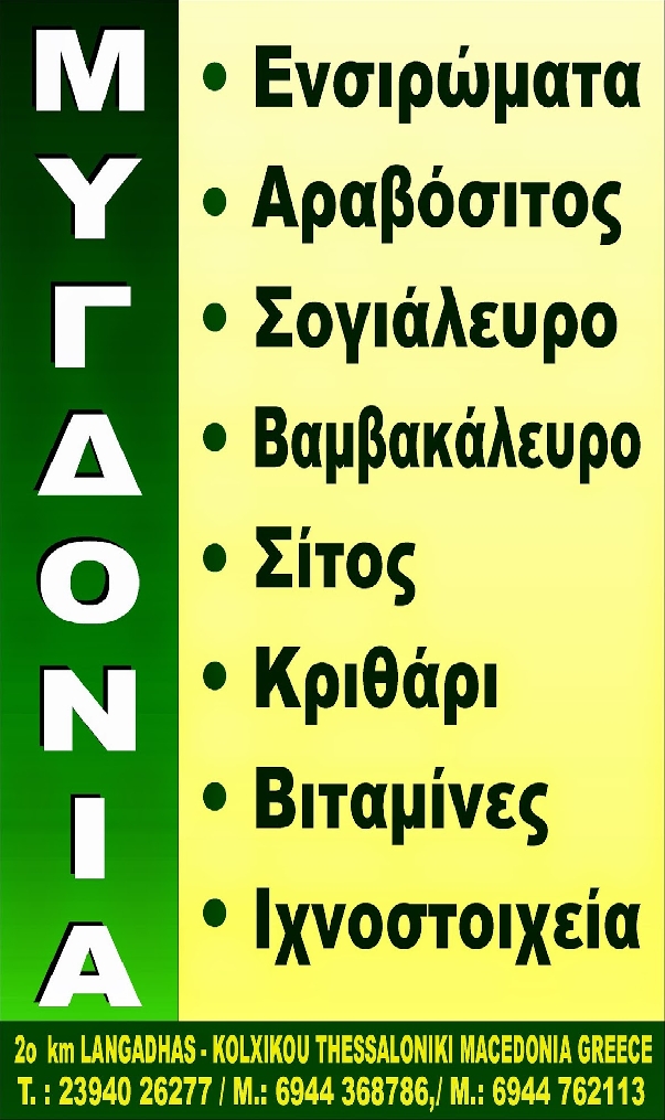 ΕΡΑΣΙΤΕΧΝΙΚΟ ΠΟΔΟΣΦΑΙΡΟ ΘΕΣΣΑΛΟΝΙΚΗΣ: Η ΜΑΡΙΑ ΣΙΔΕΡΗ & Η ΧΡΙΣΤΙΝΑ ...