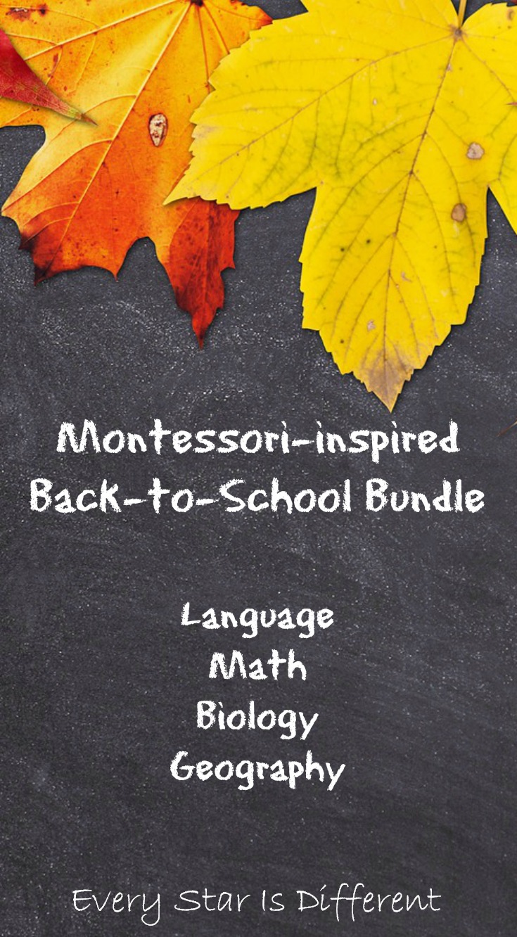 Every Star Is Different: Montessori-inspired Back-to-School Bundle