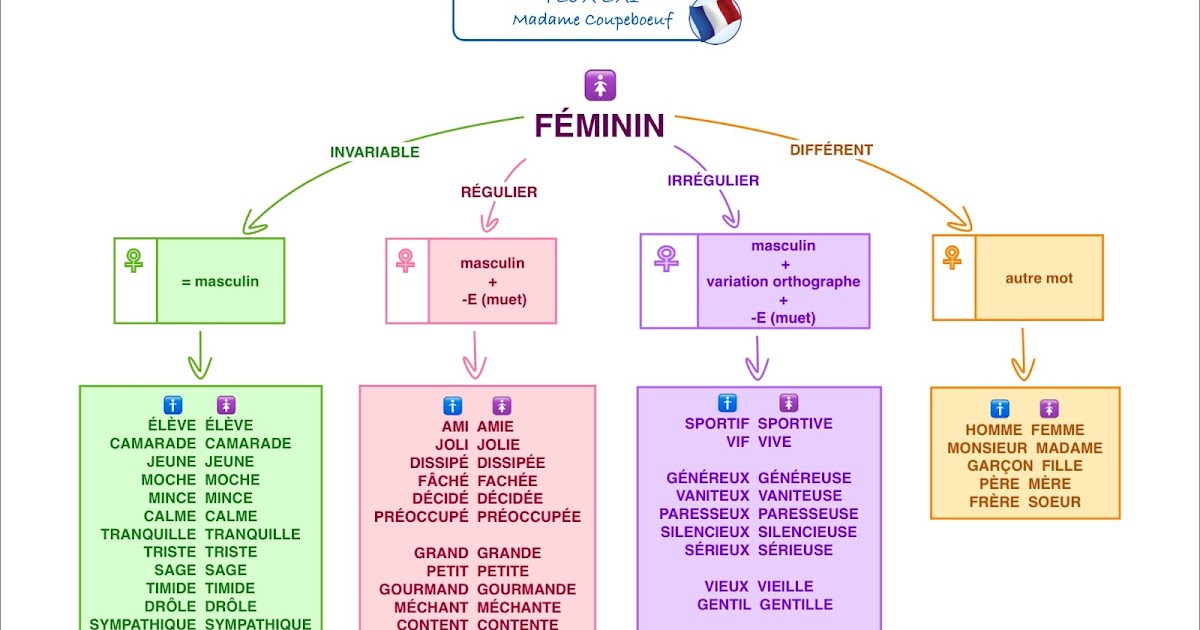 FLE À L'A1: Le féminin