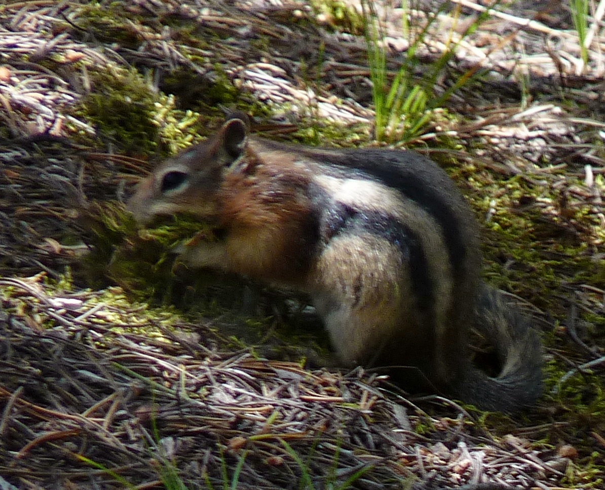 The Greenbelt: July 2012