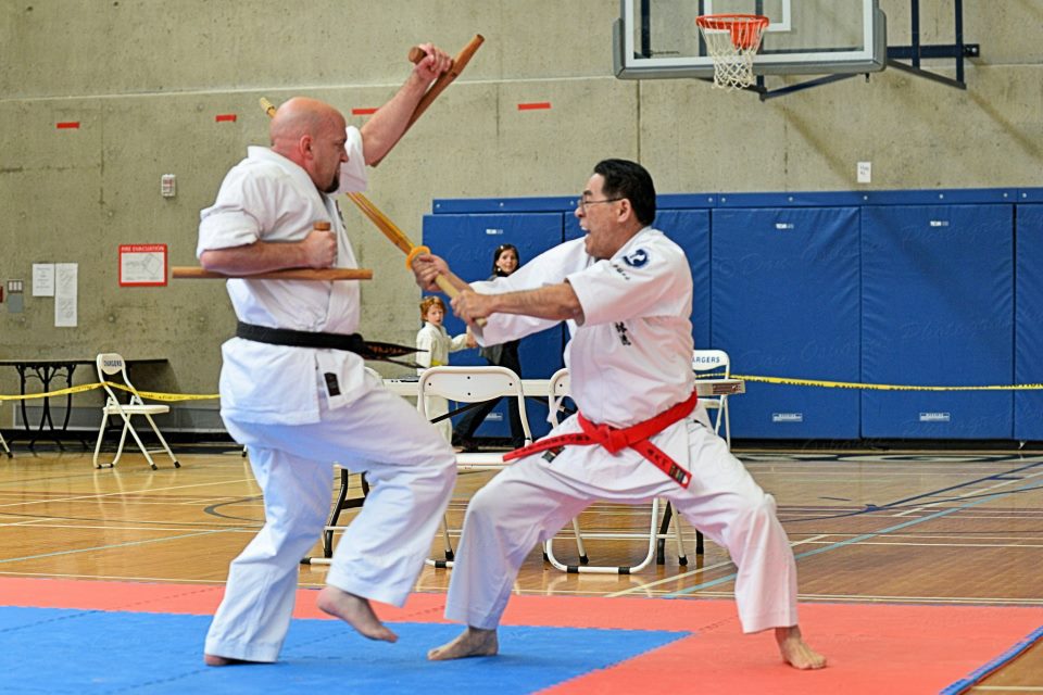 Okinawa Shorinryu Karate Shinkokai and Kobudo Association, India: 2013