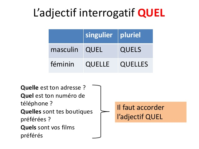 Français Facile 1º ESO: QUEL - QUELLE