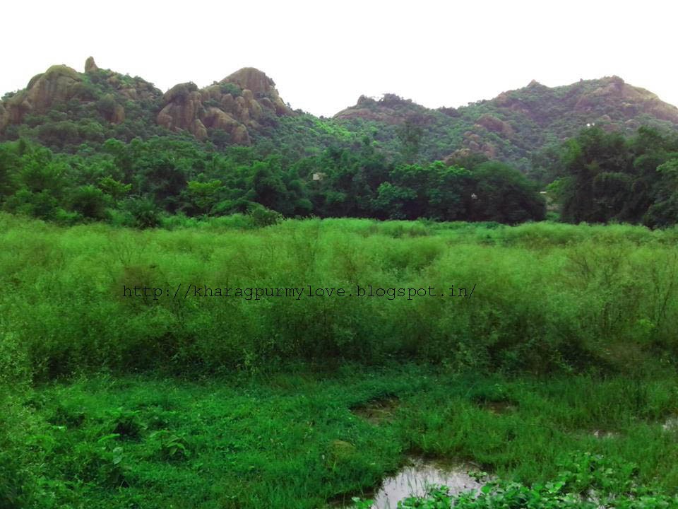 kharagpurmylove: Boronti, Muradi and Bero: Untrap natural habitat from ...