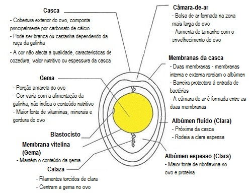 Alimentícias: Sabia que...