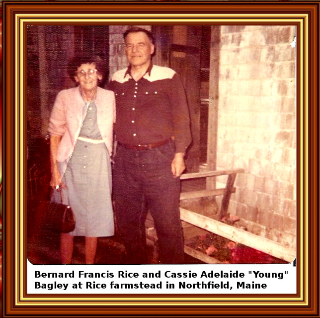 GENEALOGY OF FAMILIES IN WASHINGTON COUNTY MAINE: CLYDE GARVEY RICE ...