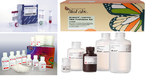 DNA Extraction Kits from Blood & Tissues