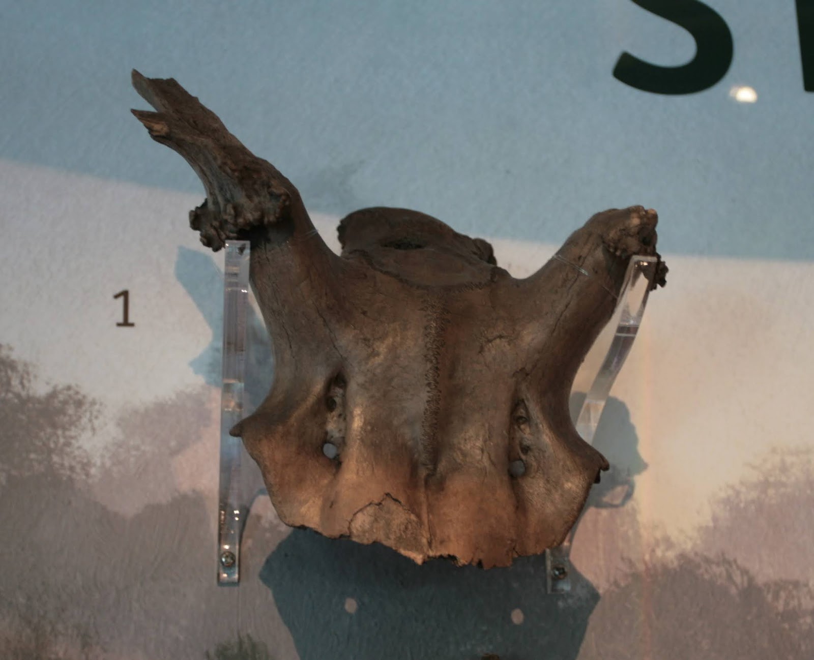 Stu Westfield (Ranger Expeditions & Ranger Ultras): #044 Recreating the ...