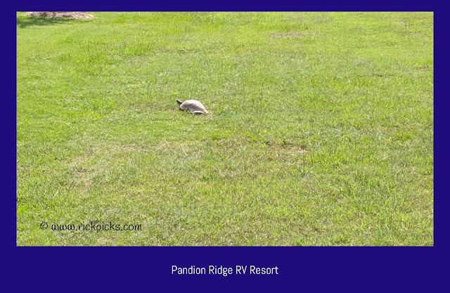 Rick's Picks: Pandion Ridge RV Resort, Orange Beach, AL