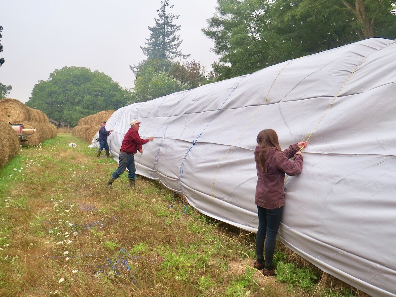 LuAnn Kessi: Hand Piecing and Covering Hay Bales...