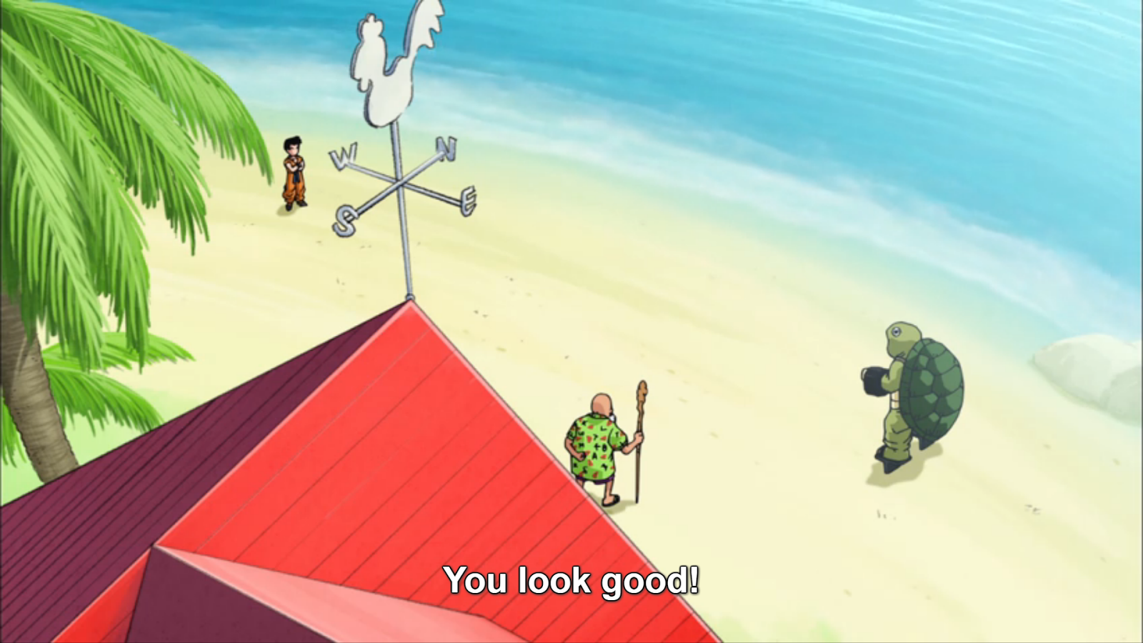 KoopaTV: Dragon Ball Koopa™ - The Turtle Saga