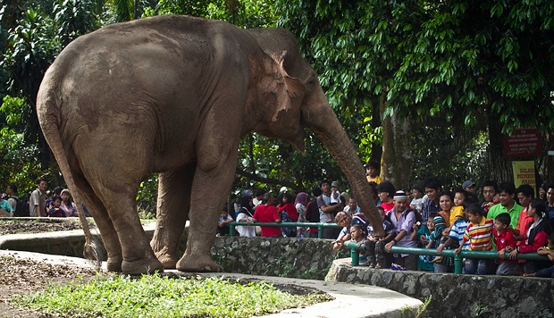 Ragunan Zoo - EXPLORE JAKARTA