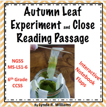 Autumn Leaf Experiment-Why Do Leaves Change Color in the Fall ...