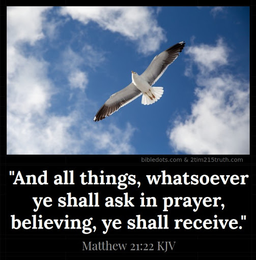 2 Timothy 2:15 Truth: Verse of the Day: Matthew 21:22 KJV
