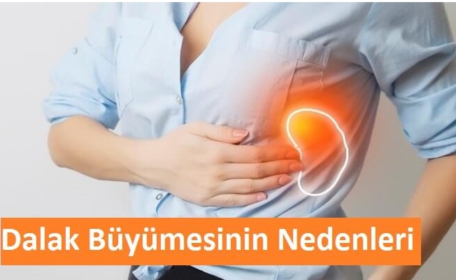 Dalağın görevleri, dalak büyümesinin belirtileri ve nedenleri