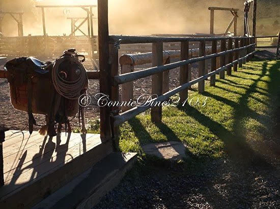 Connie Dines Fine Art Photography : Western Ranch Landscape Fine Art ...