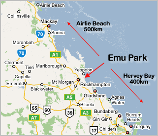 Kitchen Connection: OLD MAN EMU - IT’S TIME TO SHAKE YOUR TAIL FEATHERS!