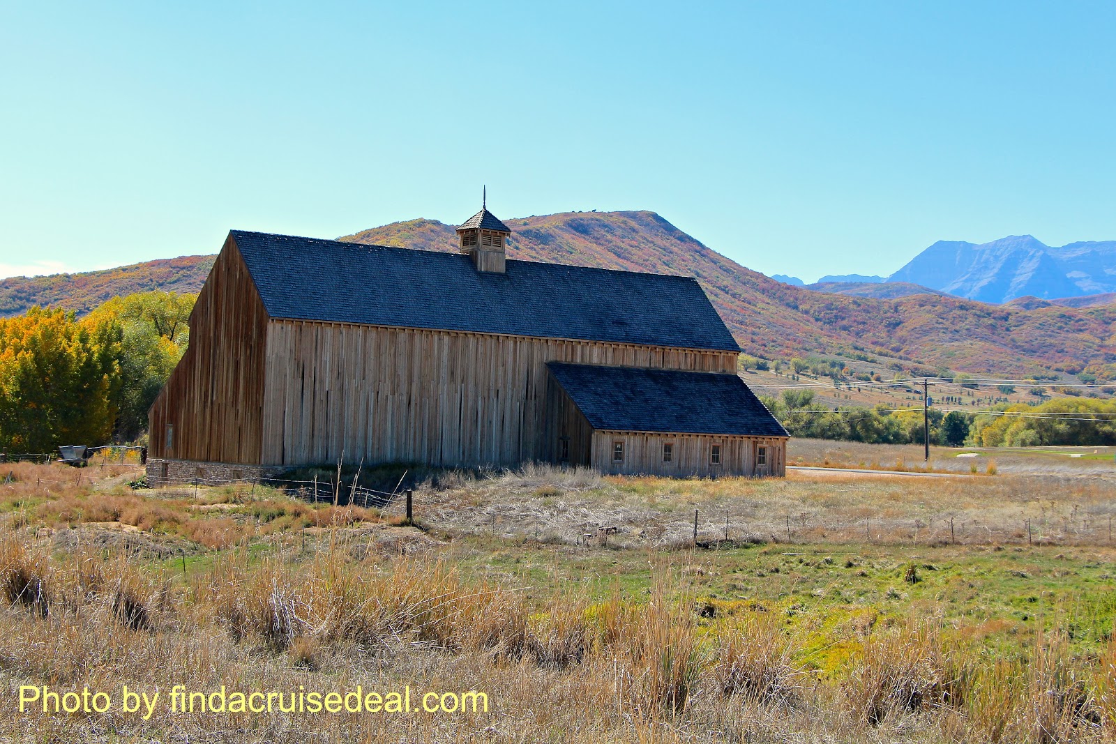 Carl's Cruise Capers and Travel Tips