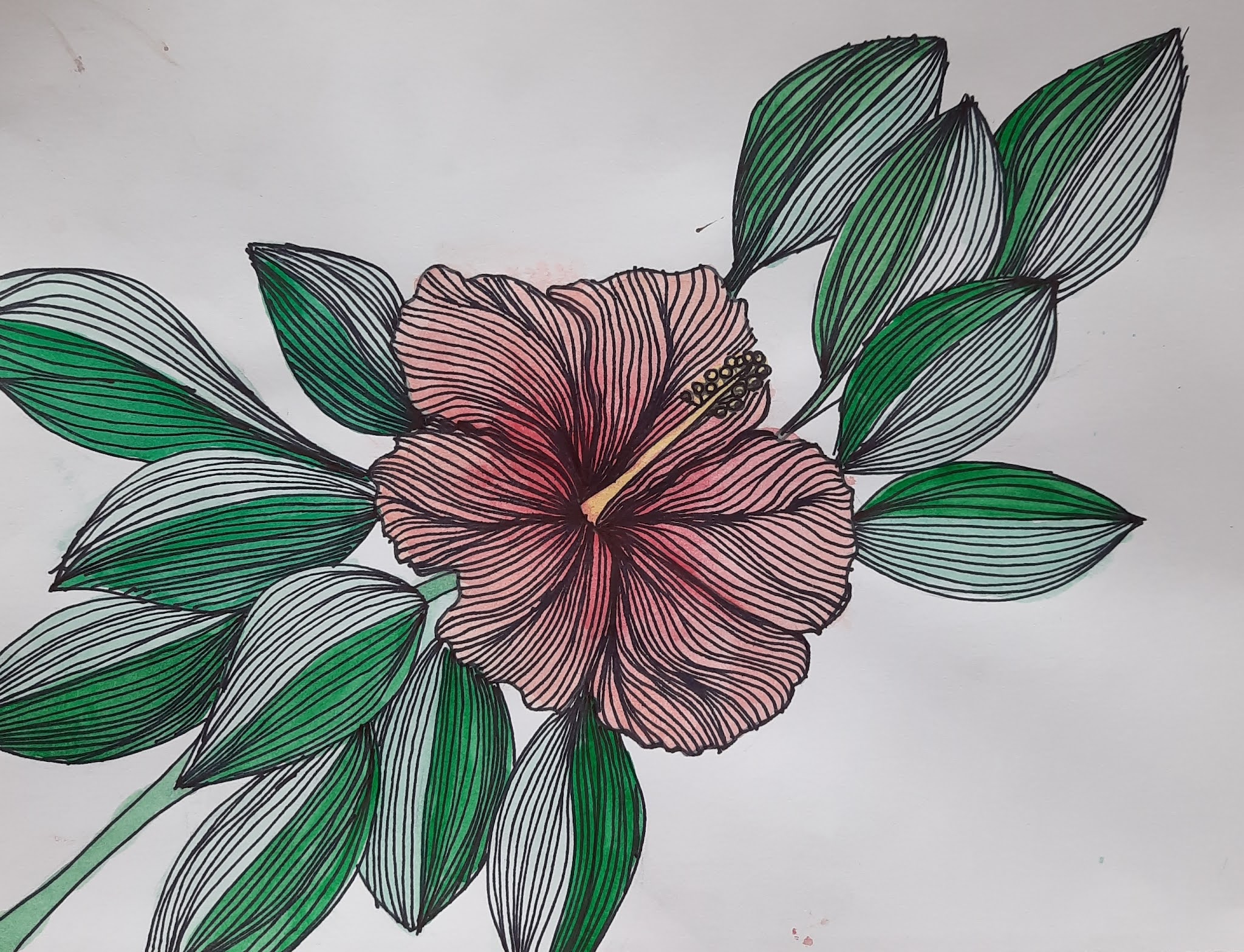 a faithful attempt: Watercolour, Pen & Ink Plant & Mushroom Paintings