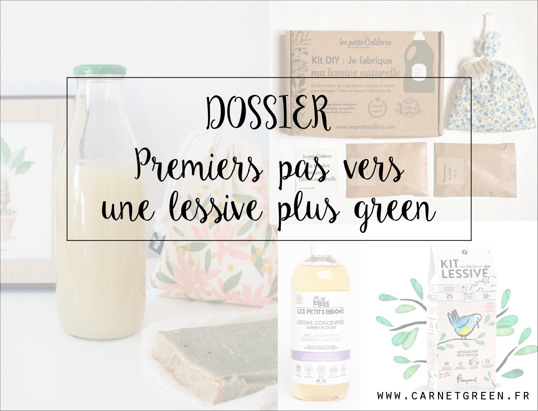 Premiers pas vers une lessive plus clean - Carnet Green – bien-être au ...