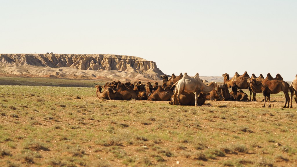 mbtourMONGOLIA: DundGobi provinve