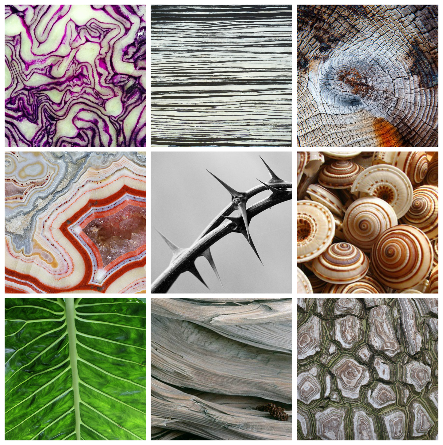 Keeping the Wonder : Teaching art: Patterns & Details