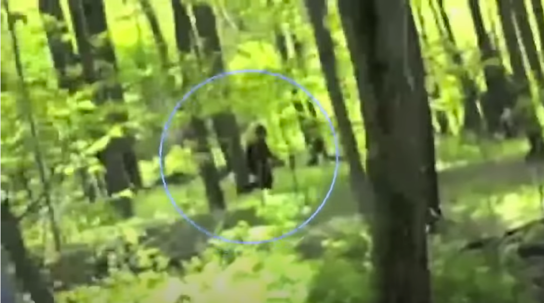 RMSO Bigfoot: Animal Planet Strongest Sasquatch Evidence from Finding ...
