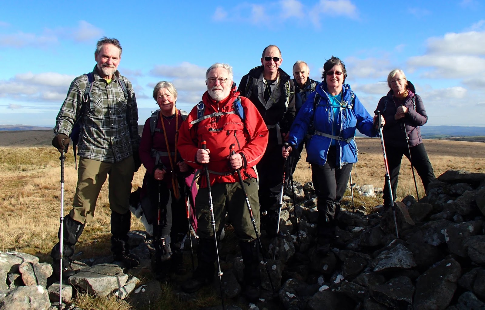 Wednesday Walkers: 2019