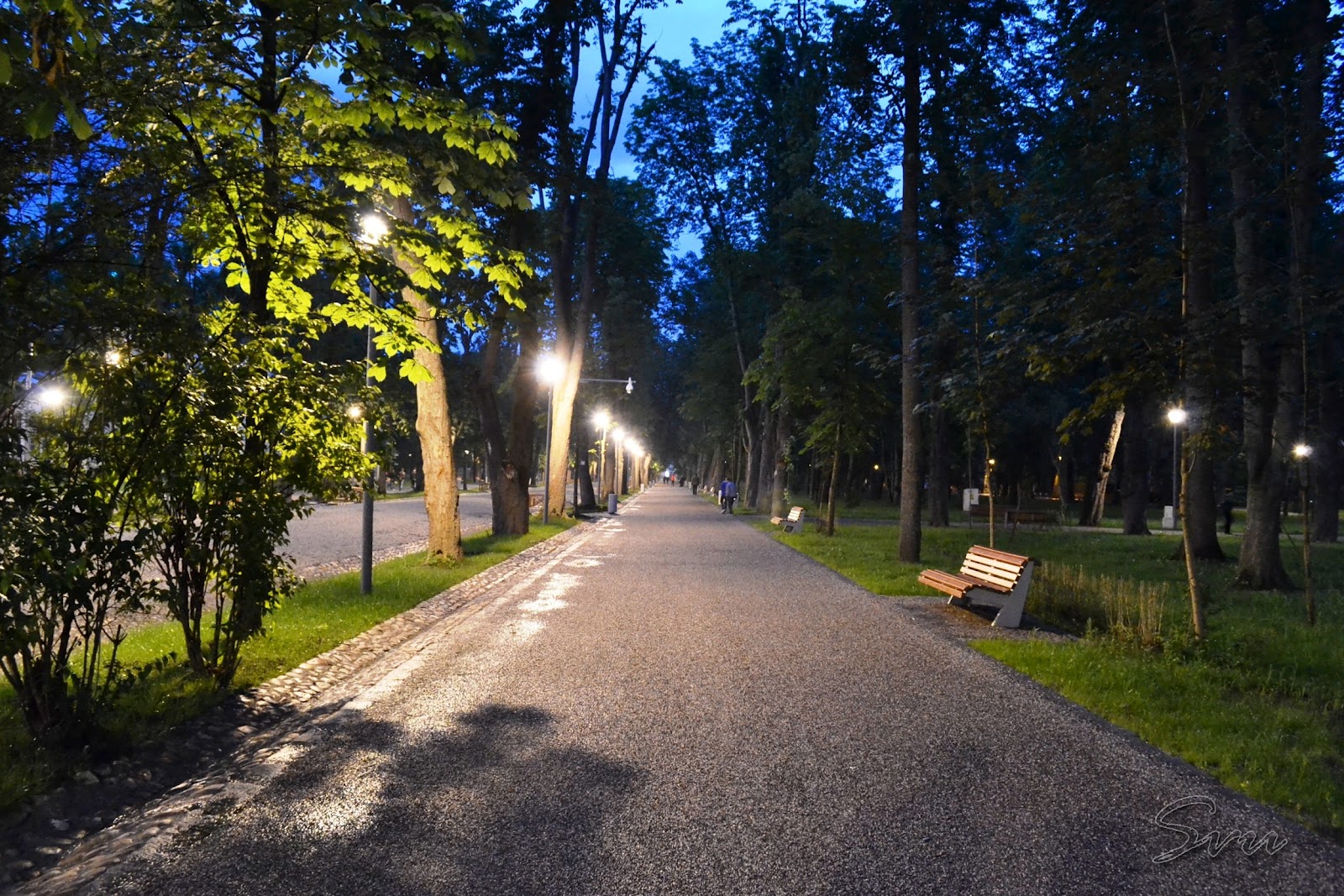 Silviu Cristea Photography: Parcul Central Cluj-Napoca