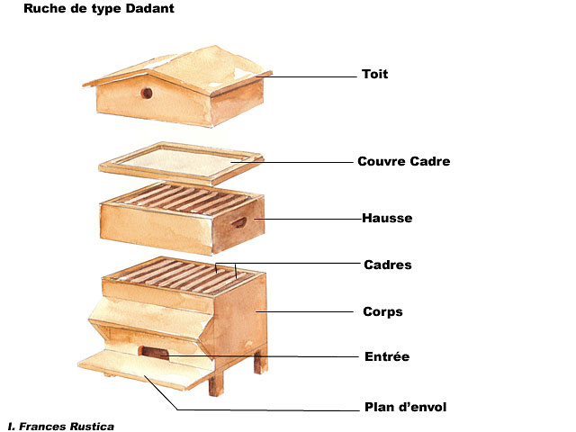 Jardin d'Histoire: Les hausses aux abeilles