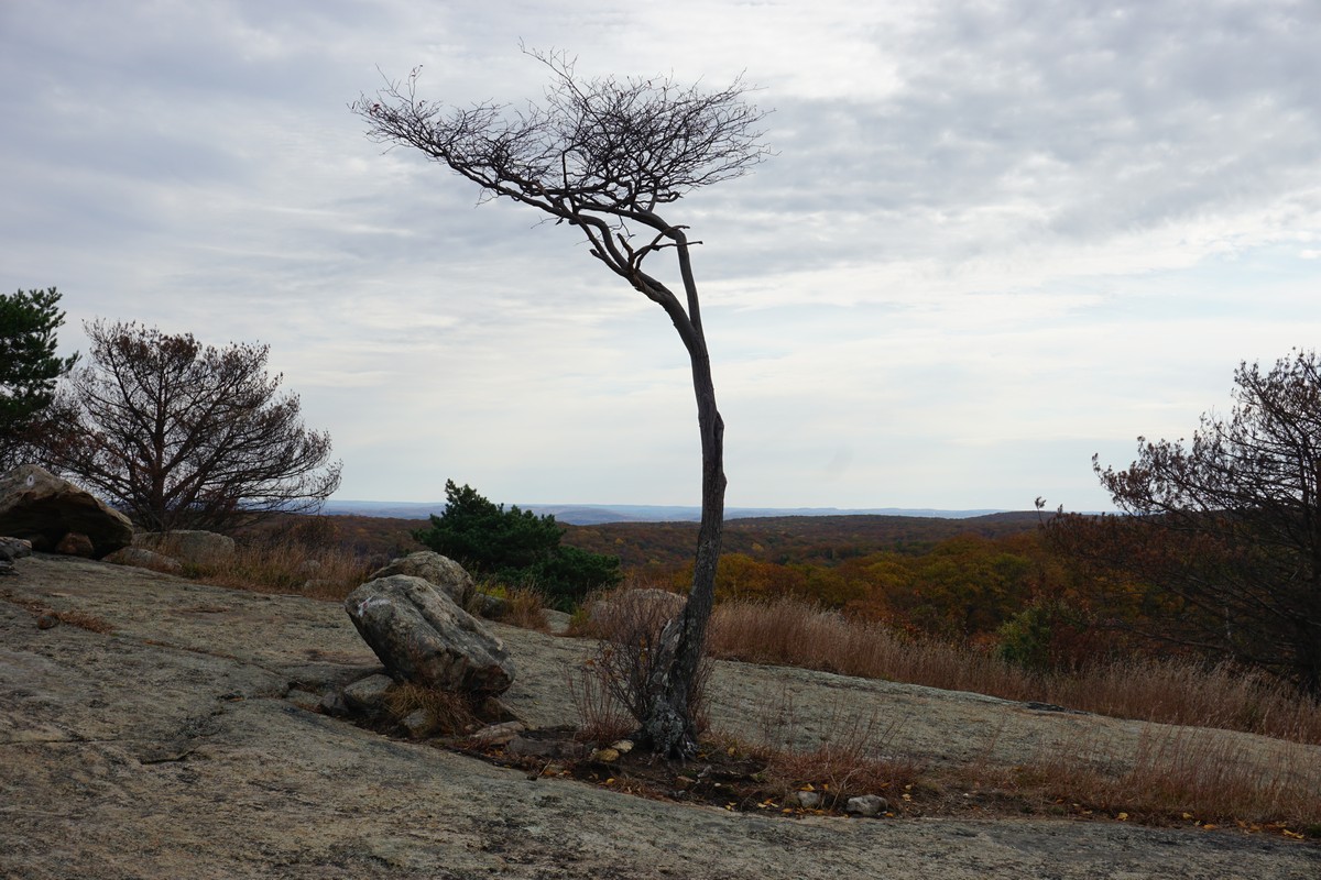 Harriman Hiker: Harriman State Park and Beyond: Hogencamp Mountain and ...
