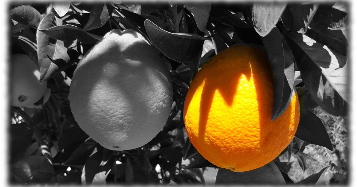 L'Aula de Núria: La Taronja és Vida