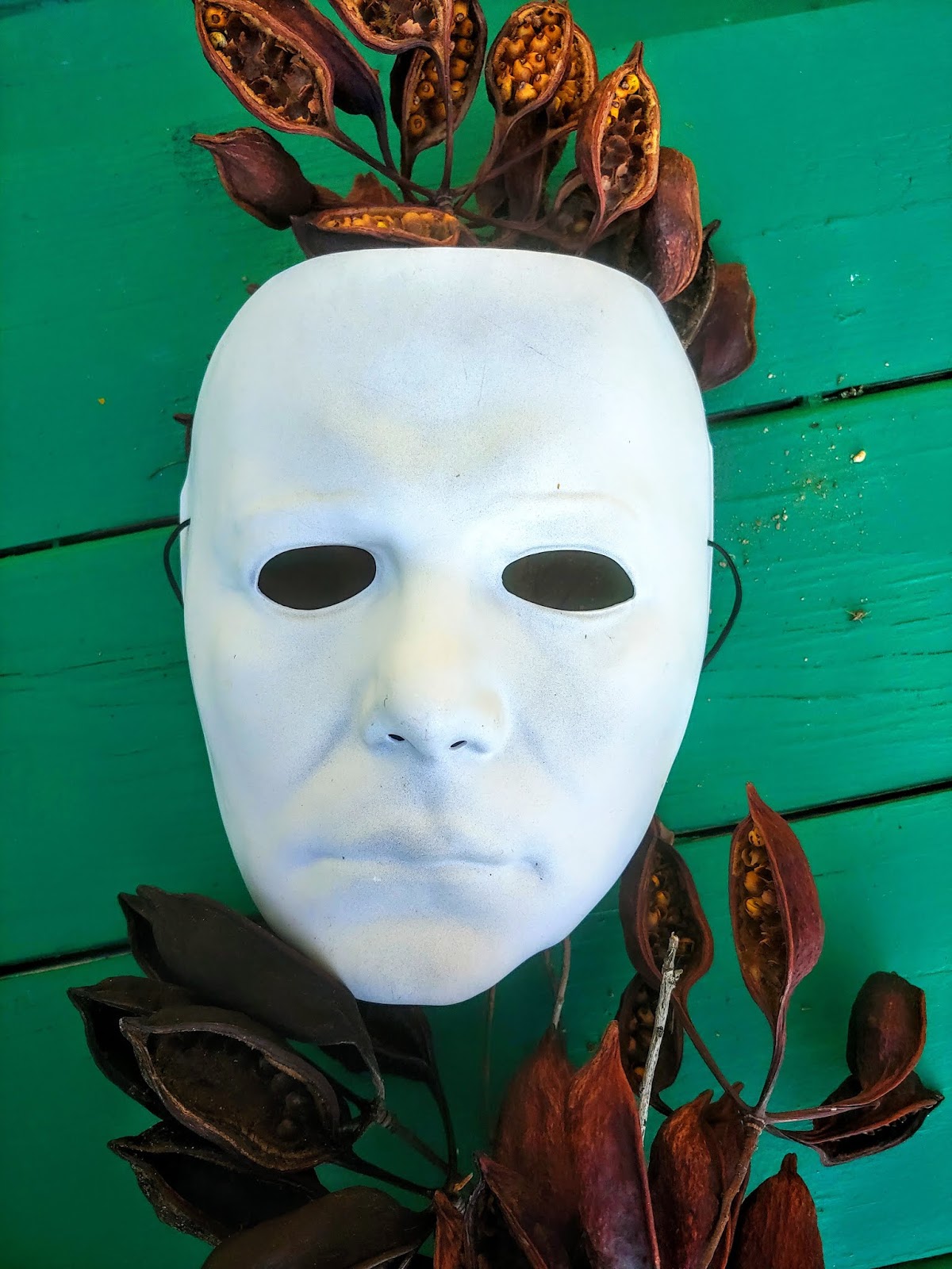 Michael Myers and Jason Voorhees - Mask Photography