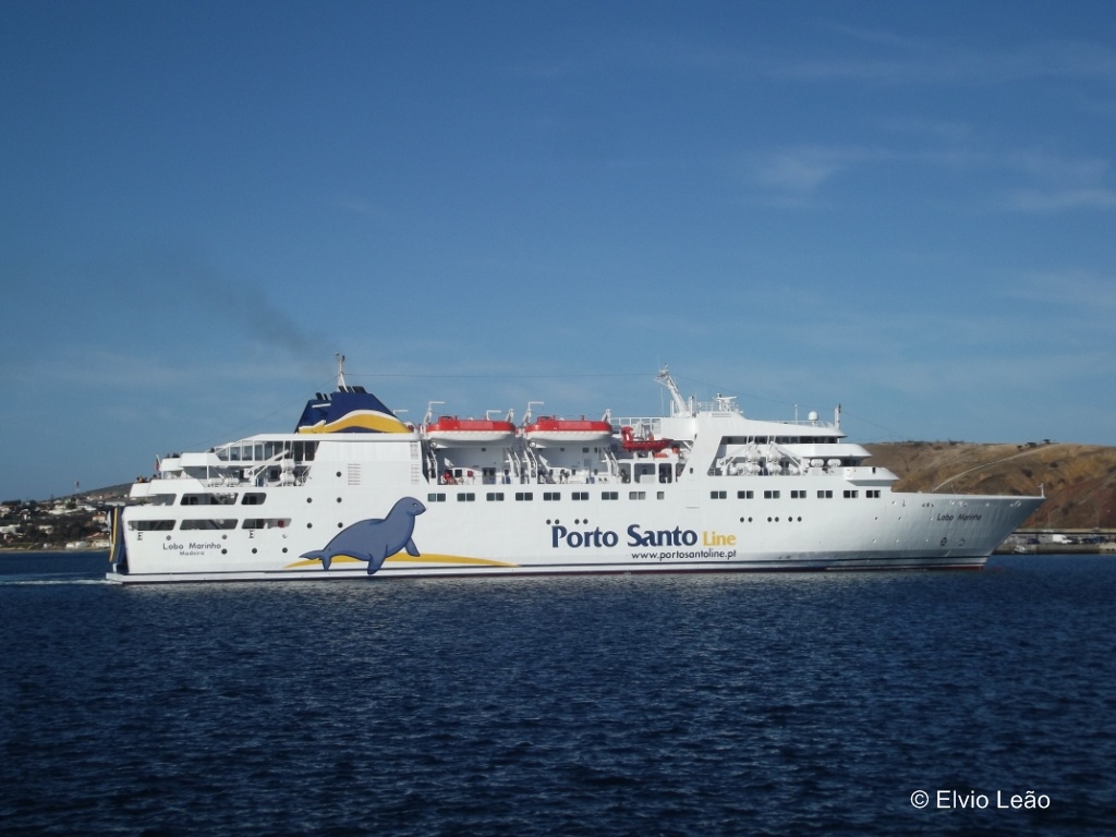 O Mar do Porto Santo: Lobo Marinho com horário diferente este fim de semana