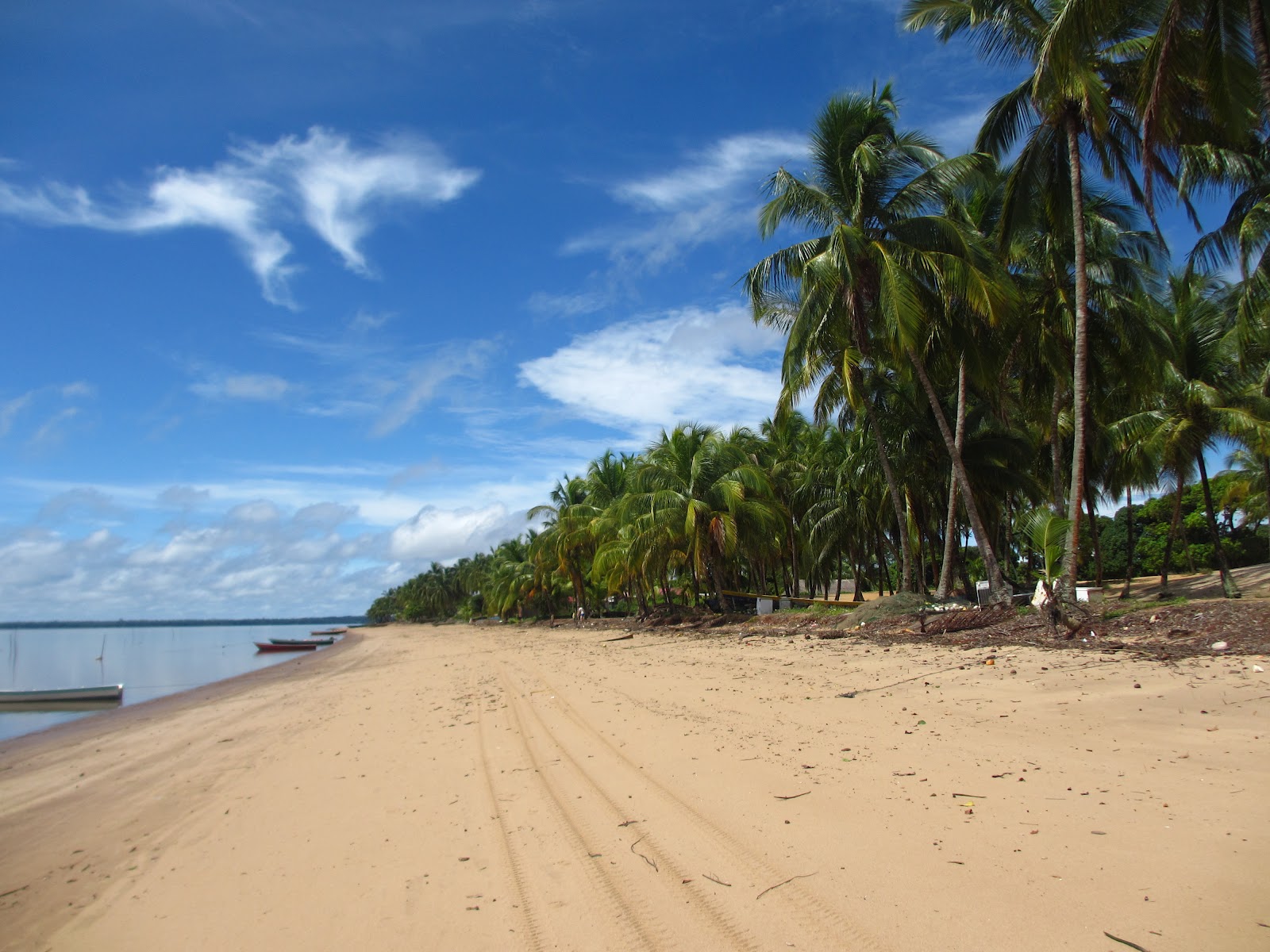 Reisverslag Suriname: Dag 34 (8 mei 2012)