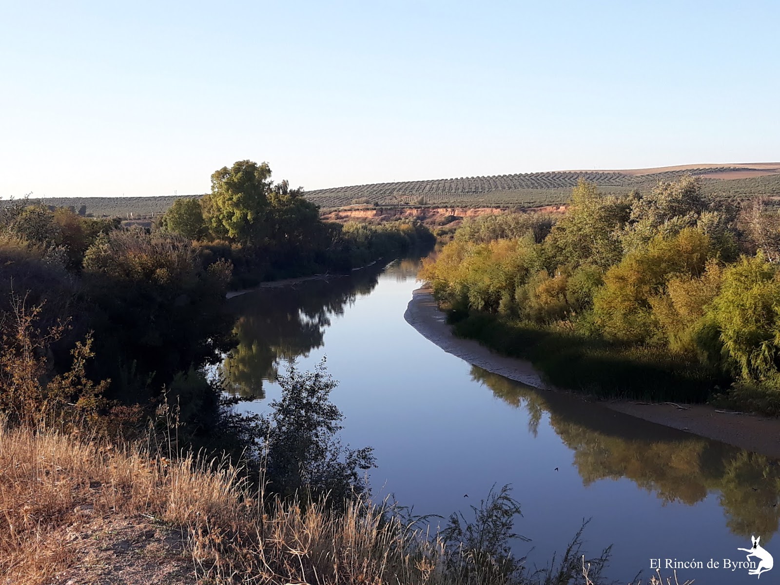 La Acción de Mengíbar (16 de julio de 1808). La antesala de la batalla ...